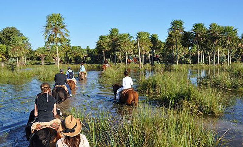 El Parque Nacional Iberá es Ley | Hotel Panamericano Buenos Aires